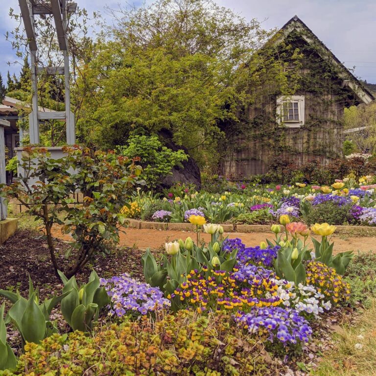 Rosa & Berry Tawada: Fulfil Your Garden Fantasy With Shaun The Sheep